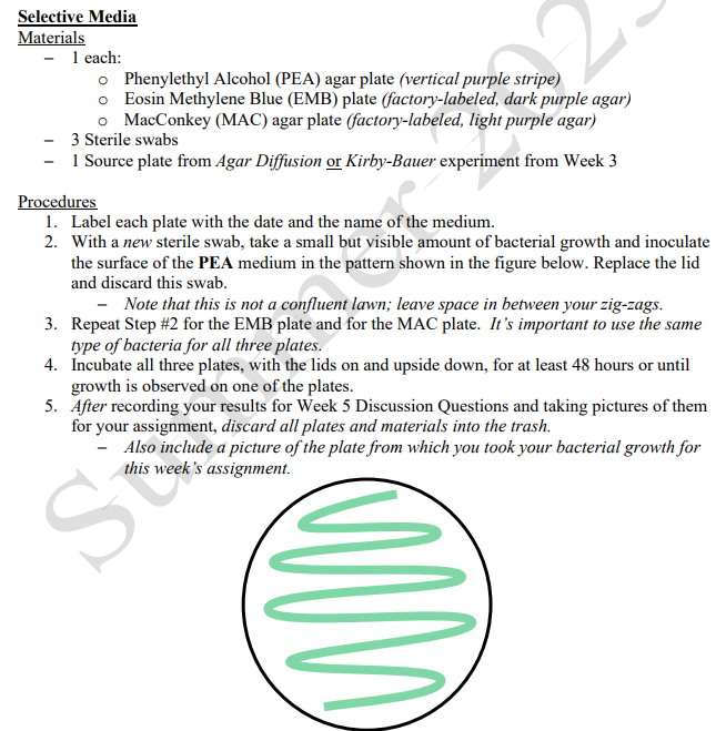 Solved Blood agar plate (BAP), Eosin Methylene Blue (EMB), | Chegg.com