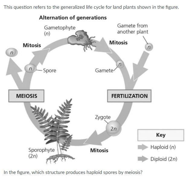 Solved This question refers to the generalized life cycle | Chegg.com