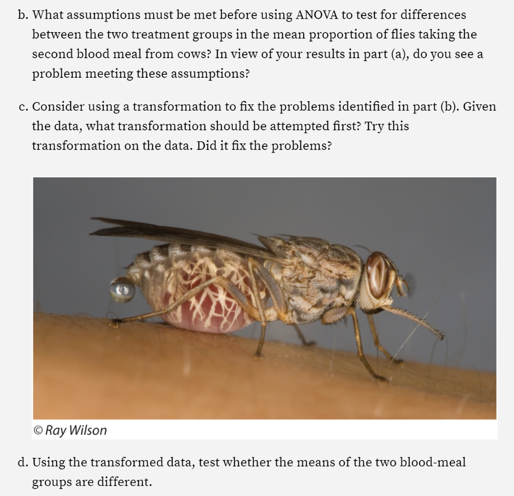 Tsetse Fly Sleeping Sickness