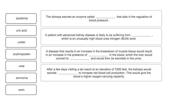 Solved Complete each statement by using the appropriate word | Chegg.com