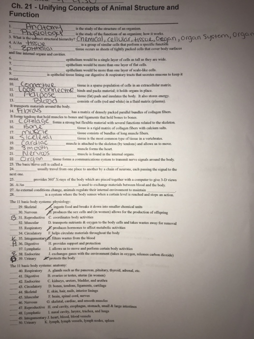 Solved Ch. 21 - Unifying Concepts of Animal Structure and | Chegg.com