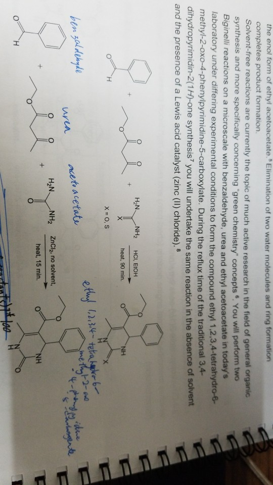 Solved the enol form of ethyl acetoacetate. Elimination of | Chegg.com