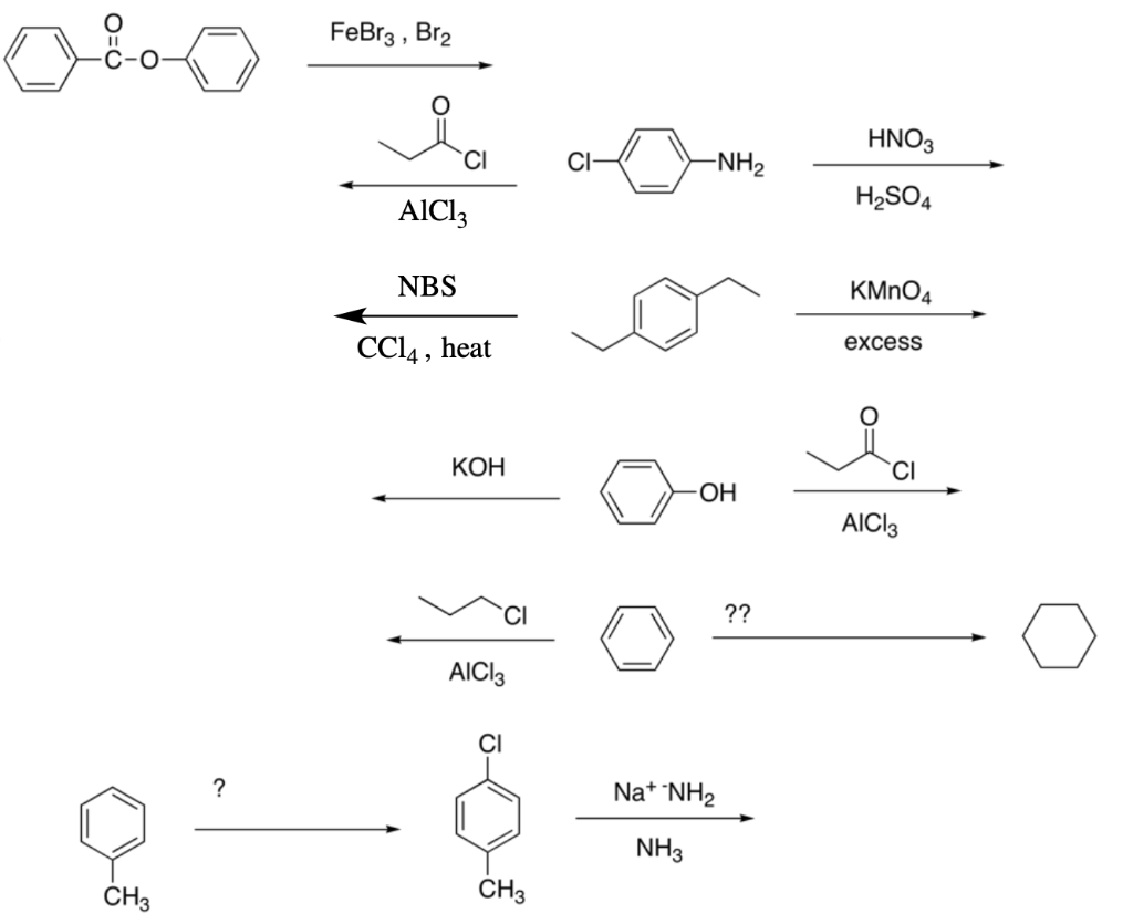 Solved CCl4, heat NBS ? | Chegg.com