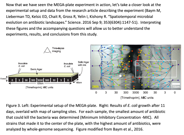Solved Now that we have seen the MEGA-plate experiment in | Chegg.com