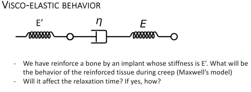 Solved VISCO-ELASTIC BEHAVIOR E' - We have reinforce a bone | Chegg.com