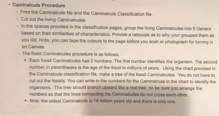 Solved Caminalcule Procedure Print the Caminalcule file and | Chegg.com