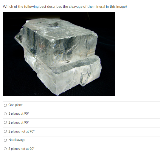 Solved Which Of The Following Best Describes The Cleavage Of
