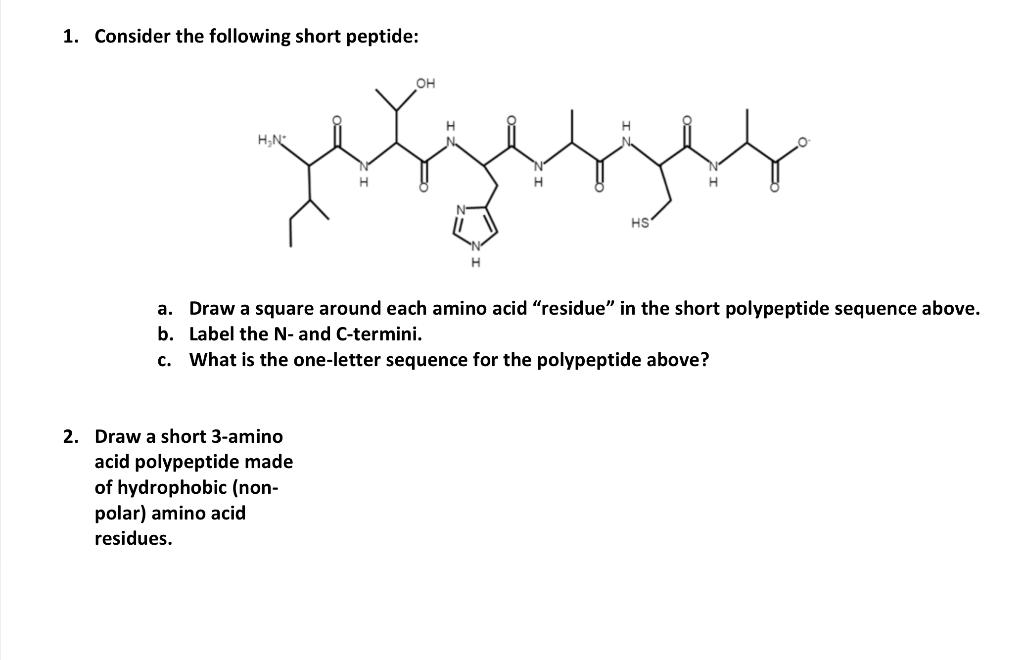 Solved 1. Consider the following short peptide: OH H H.N HS | Chegg.com