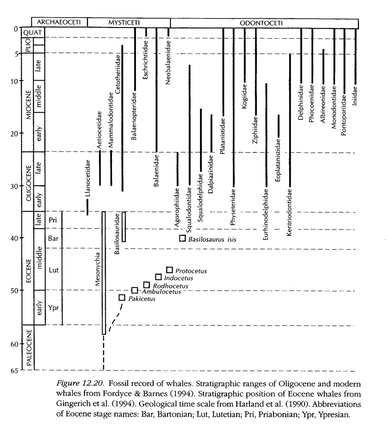 Solved For the graphic below, which line would represent the | Chegg.com