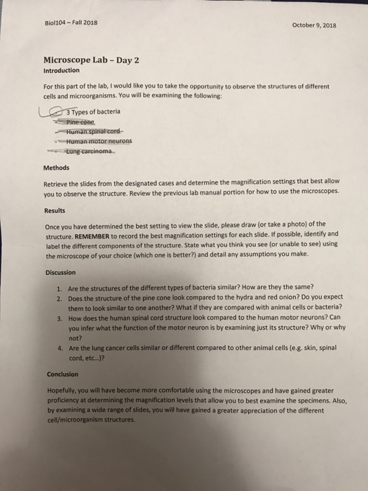 Writing a Lab Report Purpose . Explain your | Chegg.com