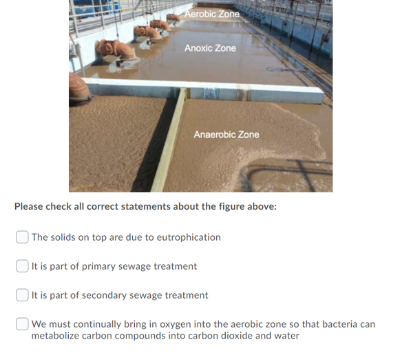 Solved Aerobic Zone Anoxic Zone Anaerobic Zone Please check | Chegg.com