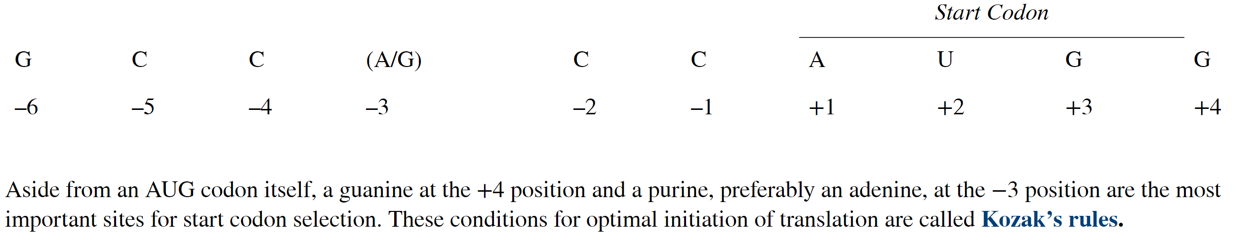 Solved The DNA sequence below comes from the coding strand | Chegg.com