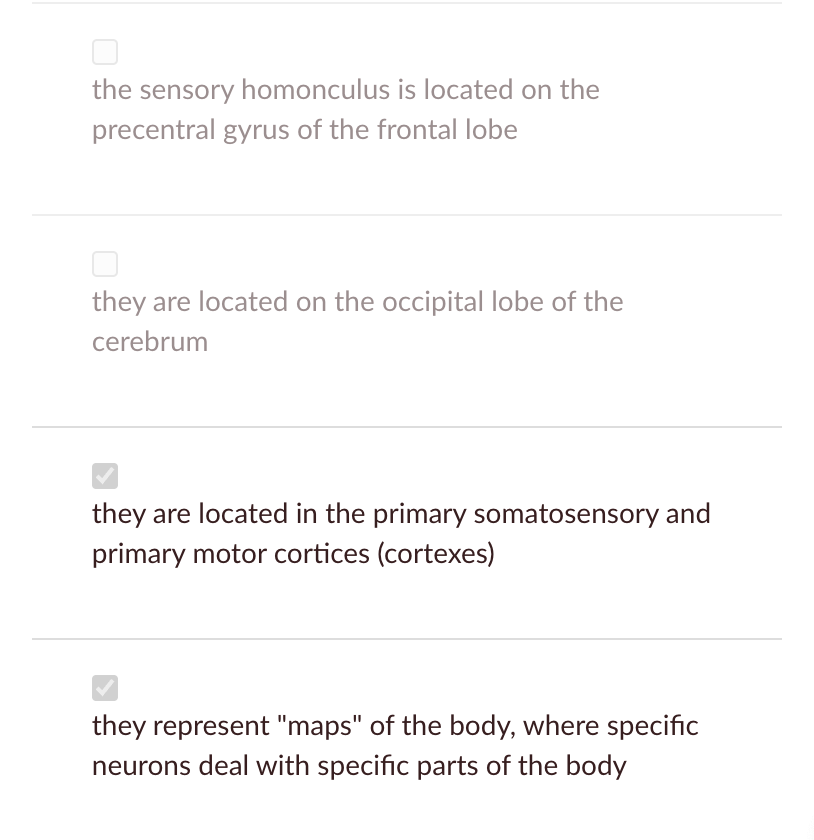 Solved Match the following regions of the brains with their | Chegg.com