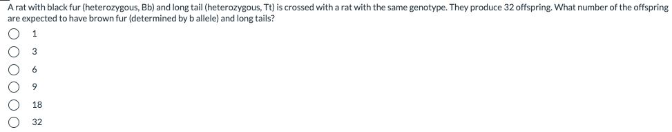 Solved A rat with black fur (heterozygous, Bb) and long tail | Chegg.com