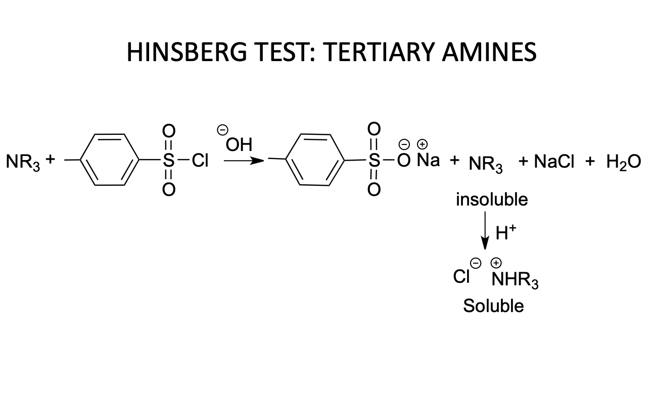 Solved Can someone please explain the mechanisms for the | Chegg.com
