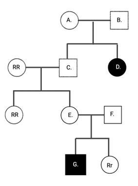 Solved Examine the pedigree to deduce the genotypes of the | Chegg.com