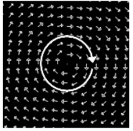 Solved The figure shows a vector force field (small arrows). | Chegg.com