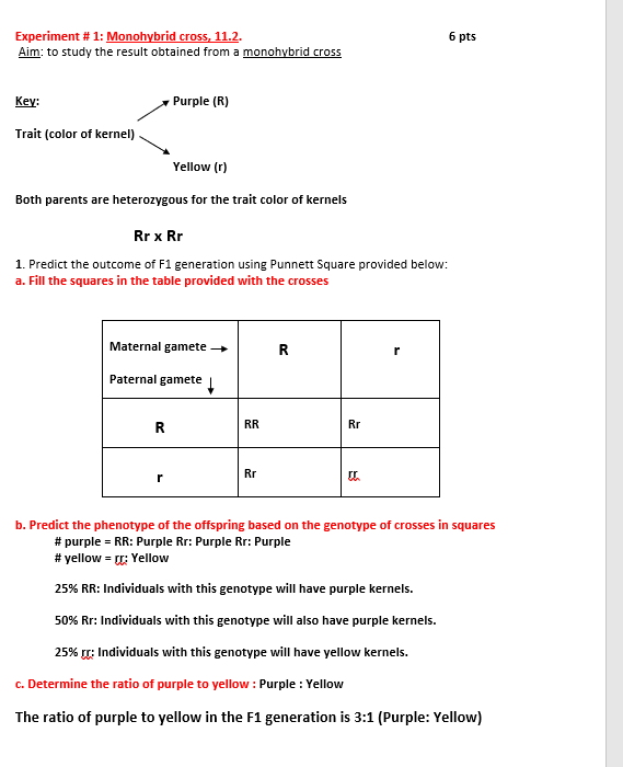 Solved The experiment is fully solved please solve the | Chegg.com Solved The experiment is fully solved please solve the | Chegg.com