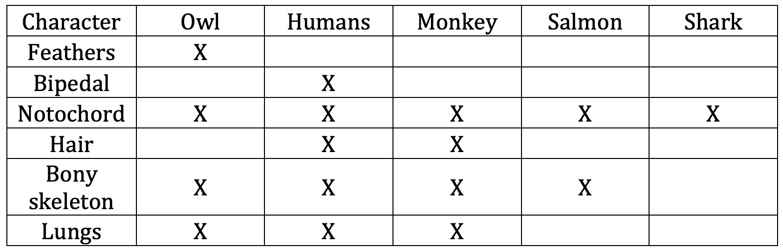 Solved Construct a cladogram to demonstrate the evolutionary | Chegg.com