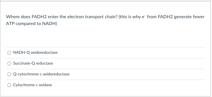 Solved Where does FADH2 enter the electron transport chain? | Chegg.com