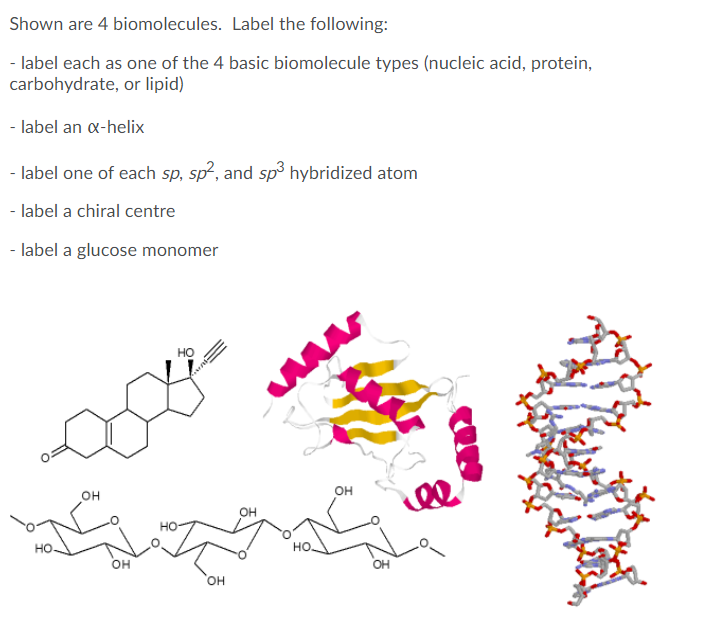 Solved Shown are 4 biomolecules. Label the following: - | Chegg.com