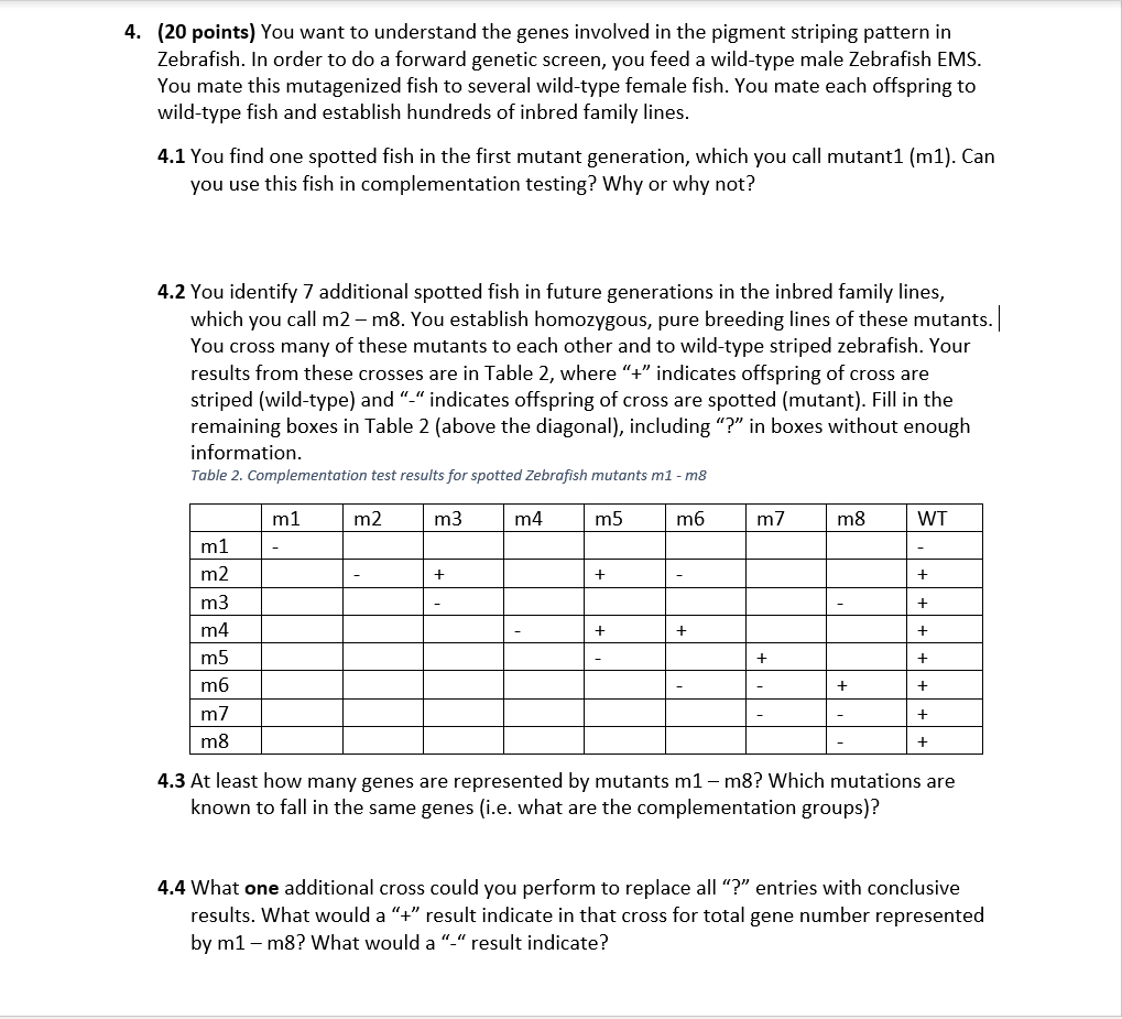 Solved You want to understand the genes involved in the | Chegg.com