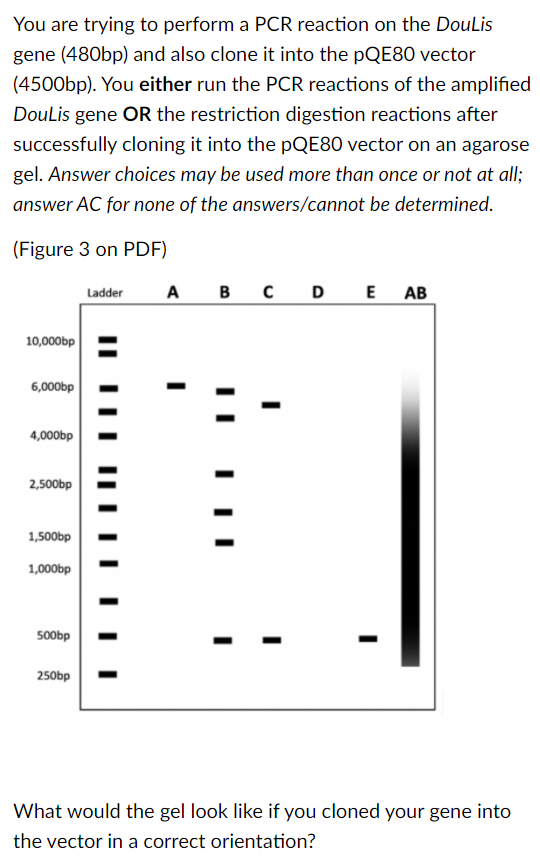 Solved You are trying to perform a PCR reaction on the | Chegg.com