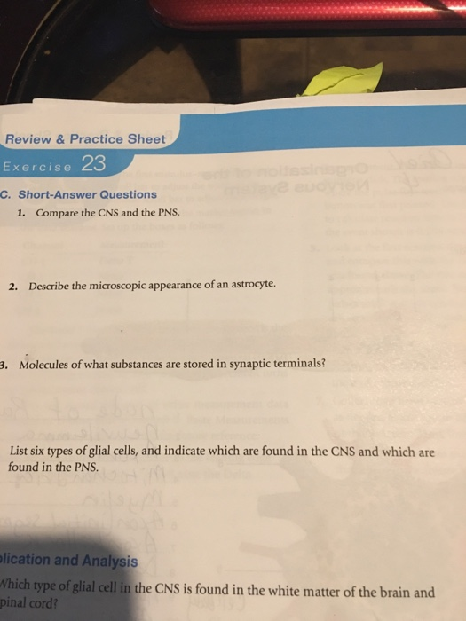 Solved Review & Practice Sheet Exercise 23 C. Short-Answer | Chegg.com