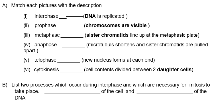 Solved 1. Label the following diagram with the phase of | Chegg.com