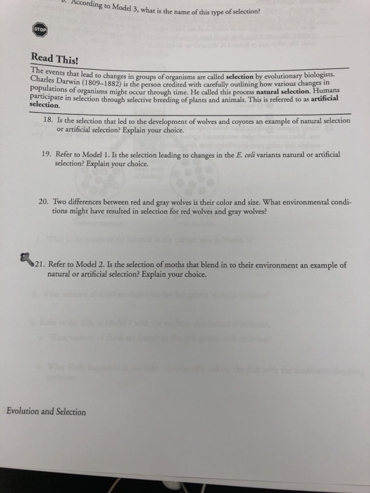 Solved According to Model 3, what is the name of this type | Chegg.com