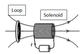 Solved 1. Suppose a wire loop is placed in the magnetic | Chegg.com