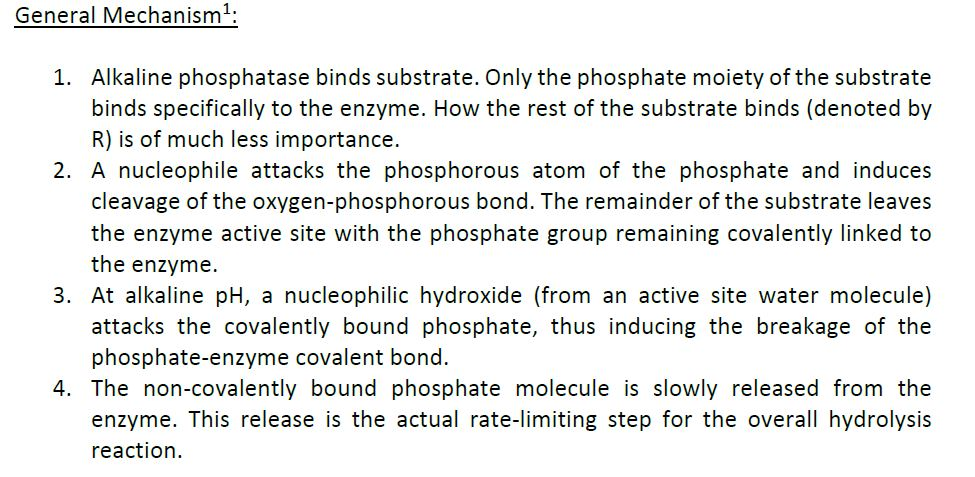 Solved General Mechanism?: 1. Alkaline phosphatase binds | Chegg.com