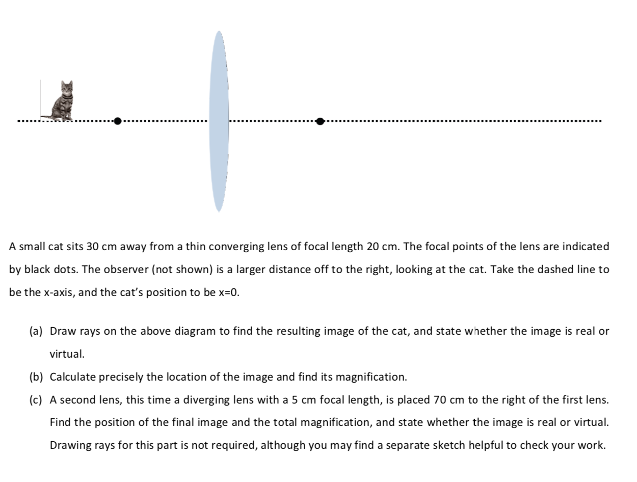 Solved A small cat sits 30 cm away from a thin converging | Chegg.com