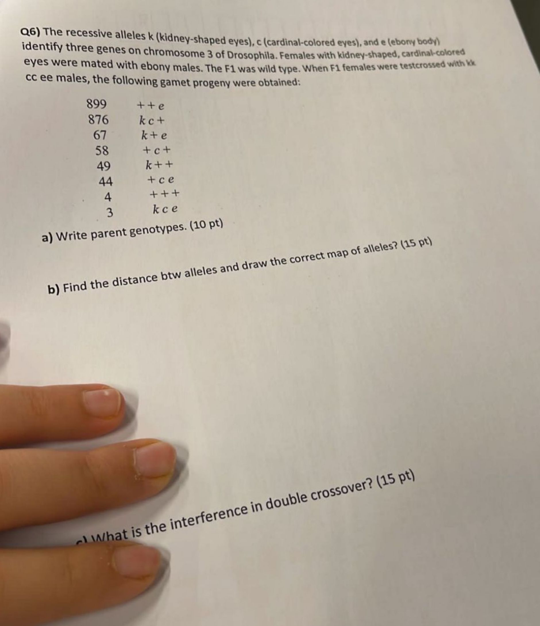 Solved Q6) ﻿The recessive alleles k (kidney-shaped eyes), ﻿c | Chegg.com