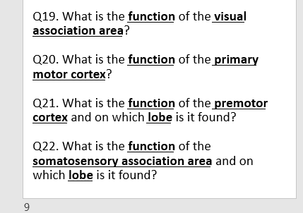 Solved Q19. What is the function of the visual association | Chegg.com