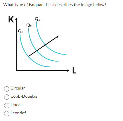 Solved What type of isoquant best describes the image below? | Chegg.com