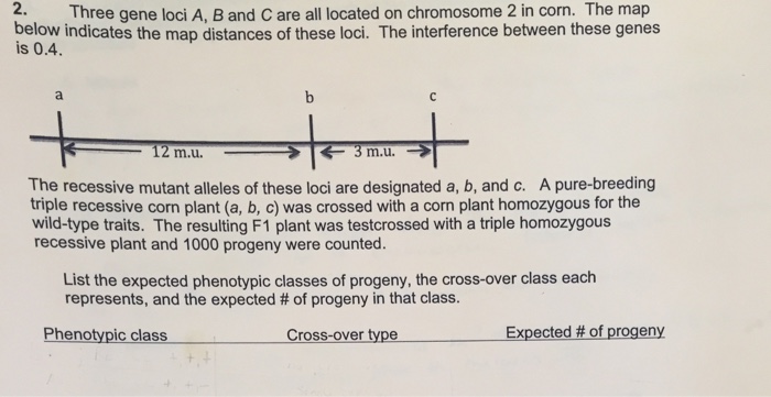 Solved Three gene loci A, B and C are all located on | Chegg.com
