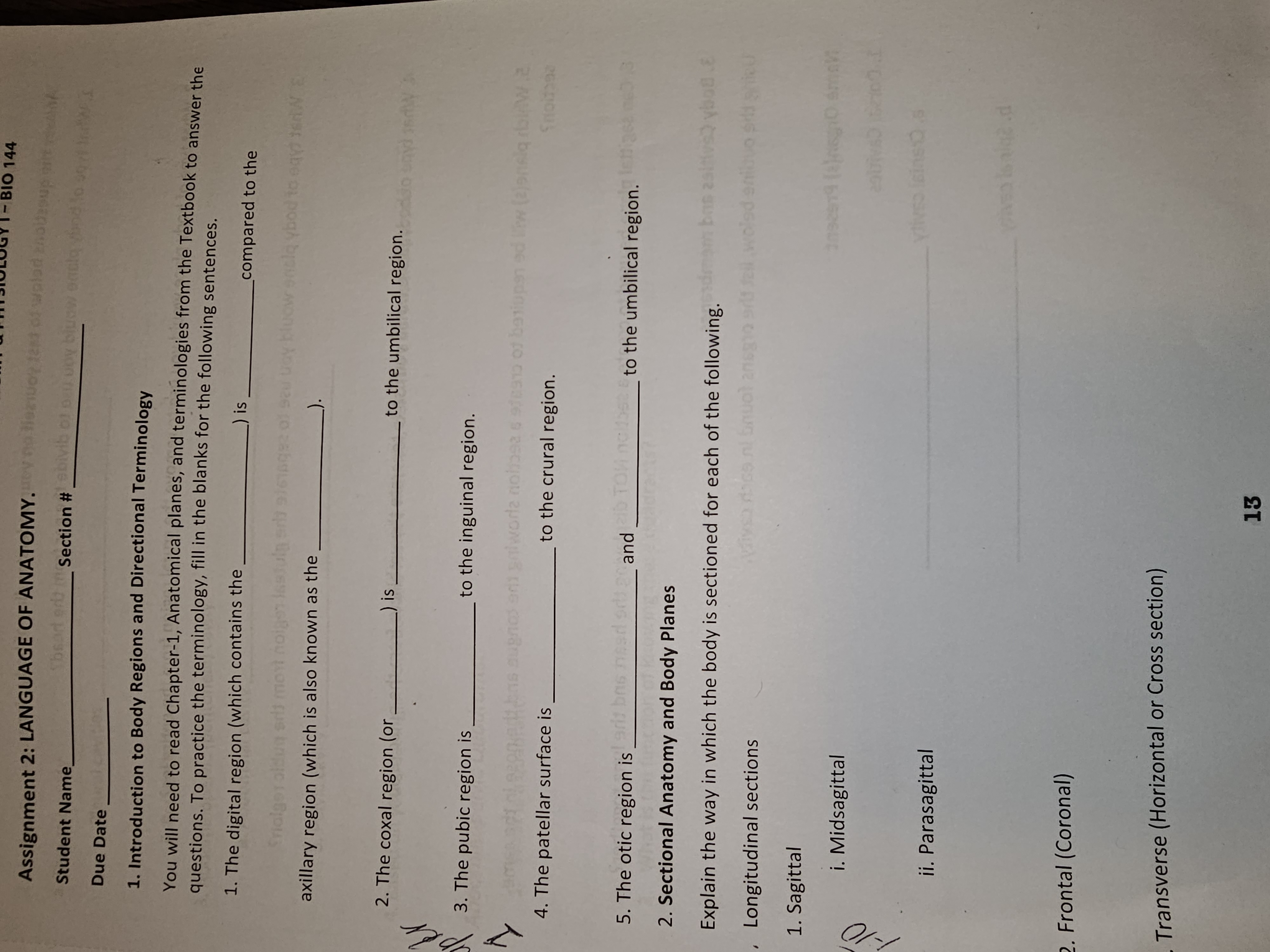 Solved Assignment 2: LANGUAGE OF ANATOMY. Student Name | Chegg.com