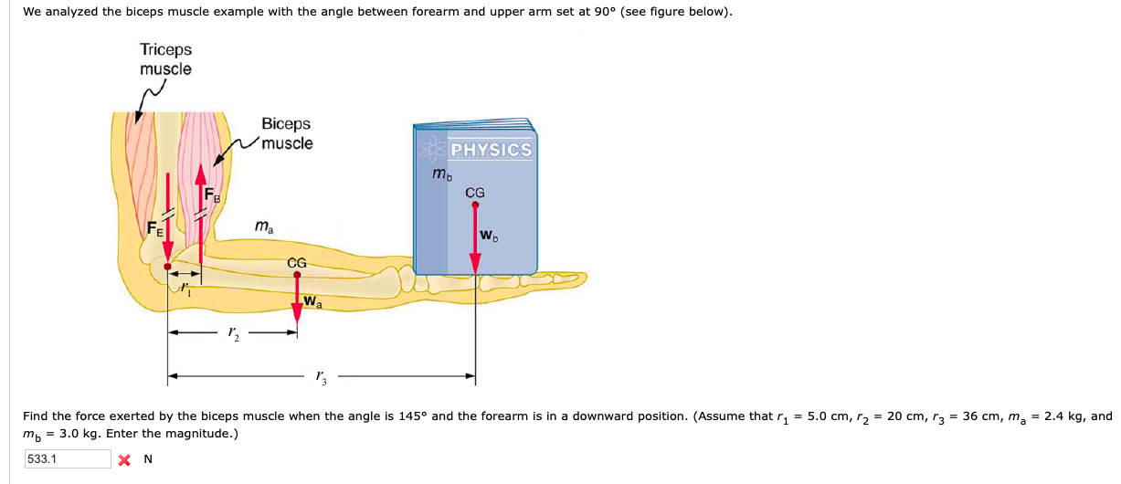 Solved We analyzed the biceps muscle example with the angle | Chegg.com