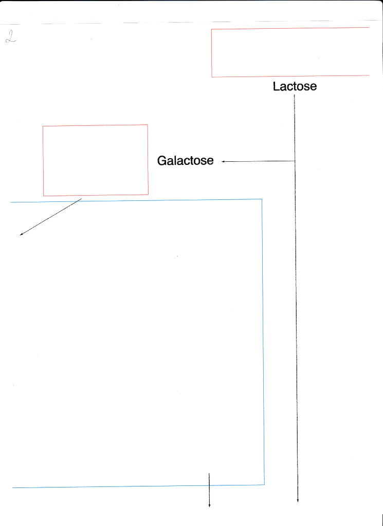 Solved Fill in boxes labelled Q1 on the worksheet with | Chegg.com Solved Fill in boxes labelled Q1 on the worksheet with | Chegg.com