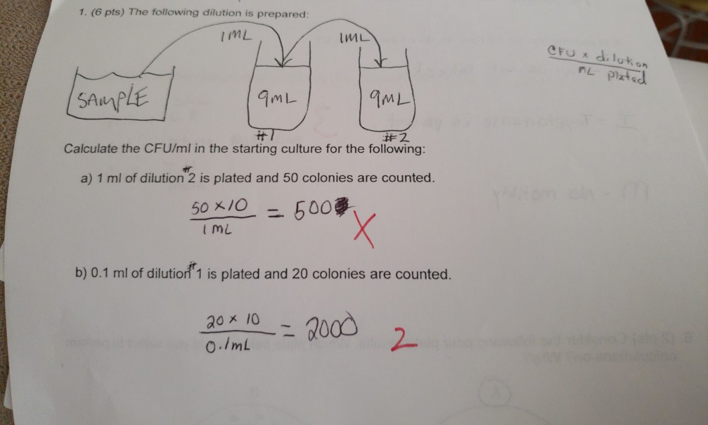 Solved 1. (6 pts) The following dilution is prepared: I ML | Chegg.com
