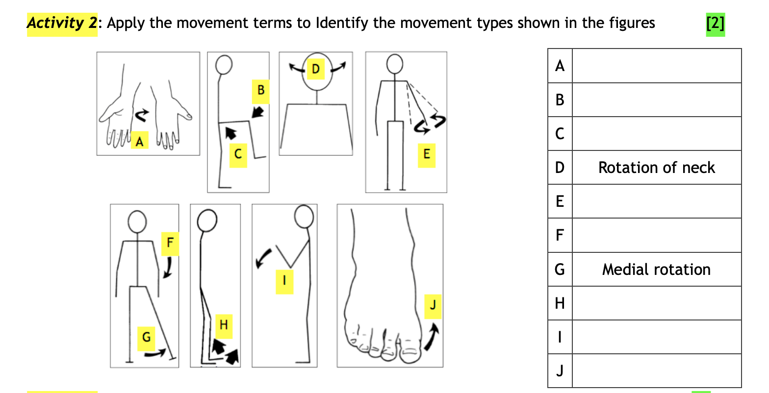 Solved Activity 2: Apply the movement terms to Identify the | Chegg.com