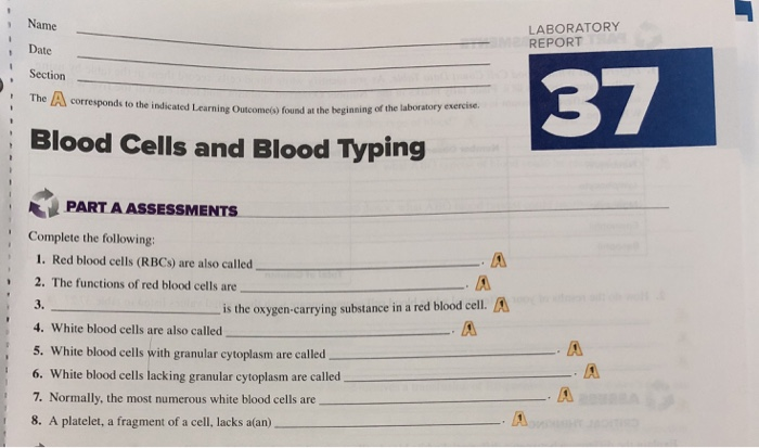 Solved Name LABORATORY REPORT , Date 37 1 Section : The A | Chegg.com