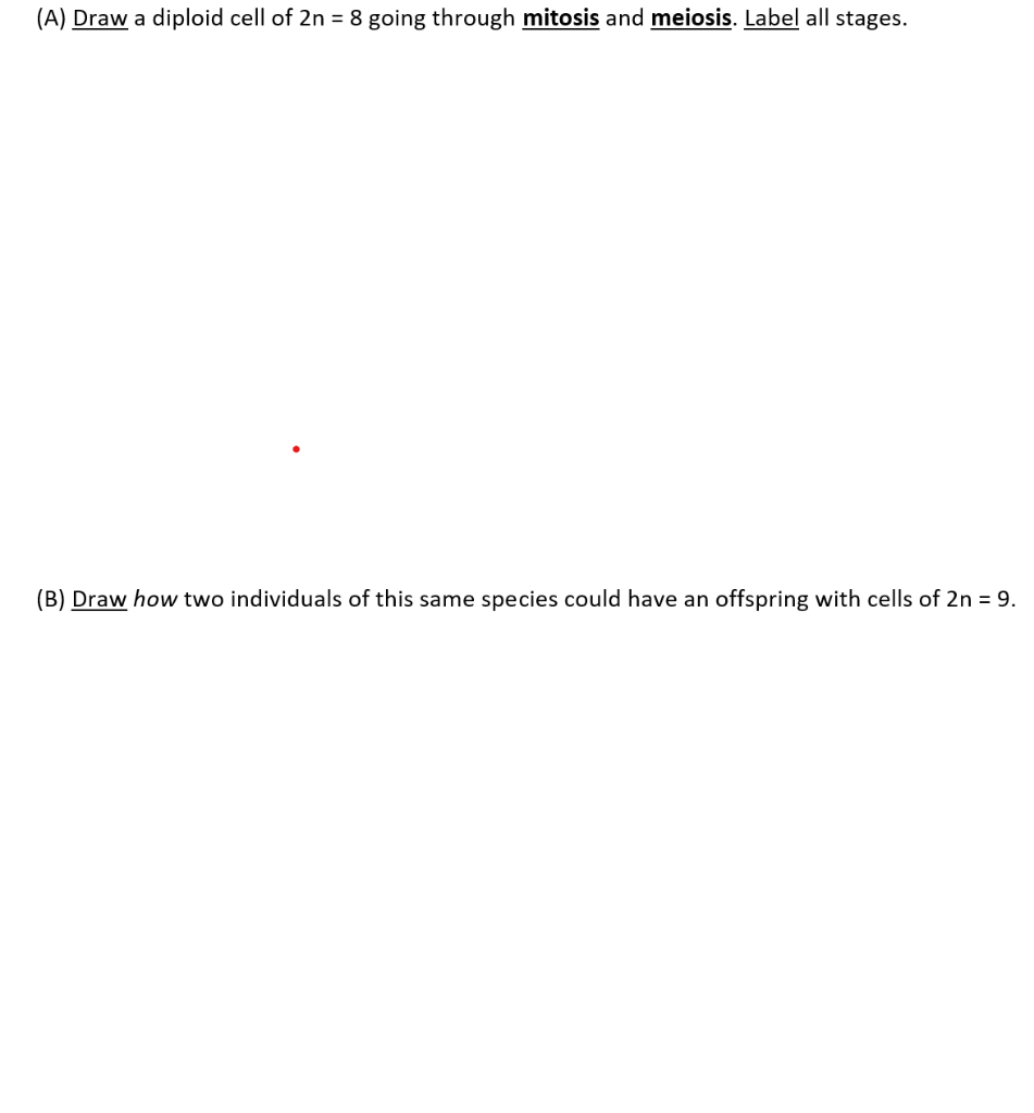 Solved (A) Draw a diploid cell of 2n = 8 going through | Chegg.com
