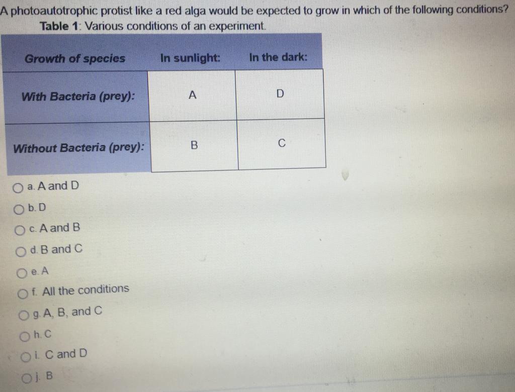 Solved A photoautotrophic protist like a red alga would be | Chegg.com