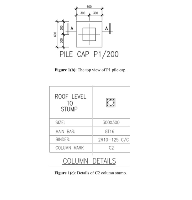Question (CO2/PO2) Figure 1 shows the P1 pile cap and | Chegg.com