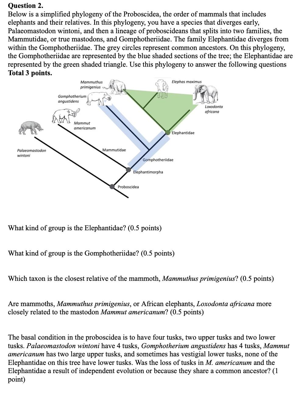 Solved Question 2. Below is a simplified phylogeny of the | Chegg.com