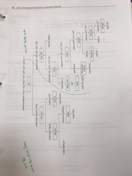 Solved EXPERIMENT 5 Qualitative Analysis 1 Unknown A | Chegg.com