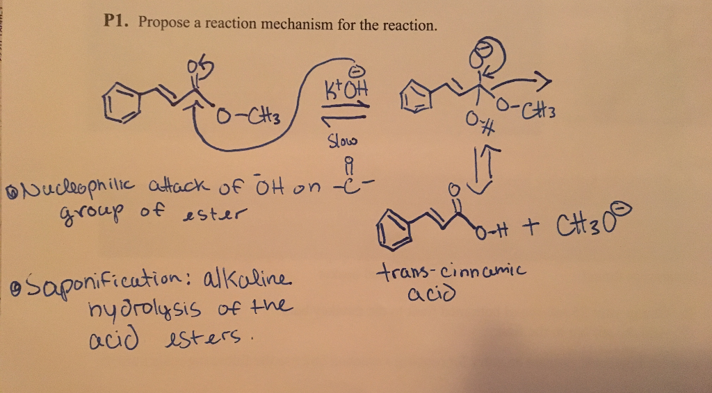 Solved Saponification Reaction: Formation of trans-cinnamic | Chegg.com