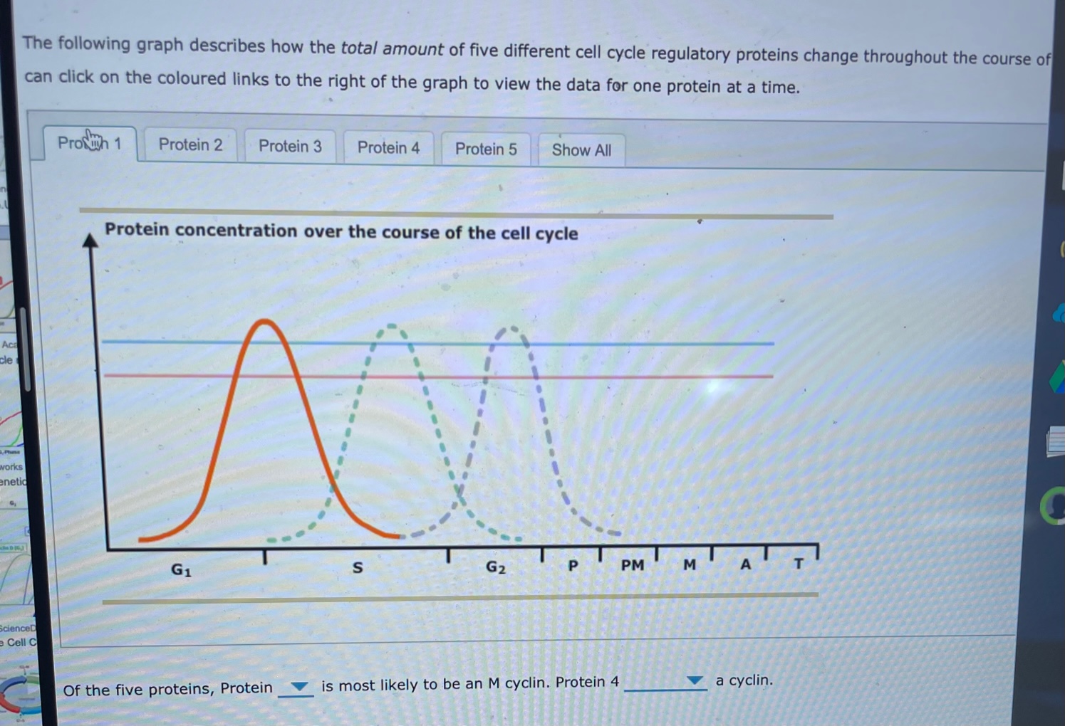 Solved protein 1: orangeprotein 2: greenprotein 3: | Chegg.com